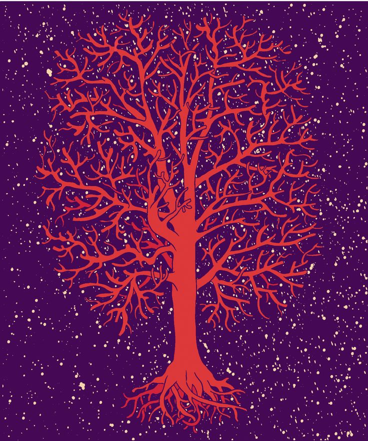 Comic Book Review – Seconds by Bryan Lee O’Malley – Muse with Me