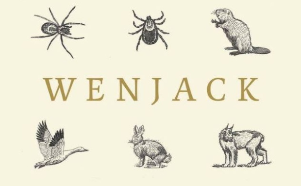 Book Review – Wenjack by Joseph Boyden – Muse with Me