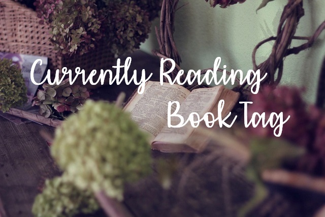 Currently Reading Book Tag – Muse with Me