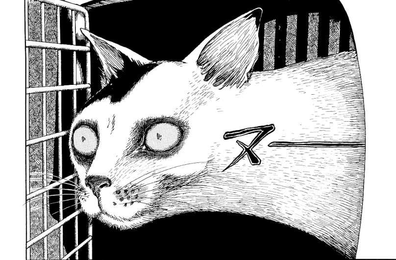 Comic Book Review – Junji Ito’s Cat Diary: Yon & Mu – Muse with Me