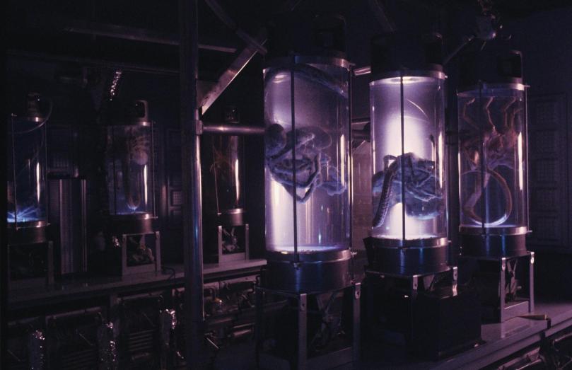 Book Review – Alien: River of Pain by Christopher Golden – Muse with Me